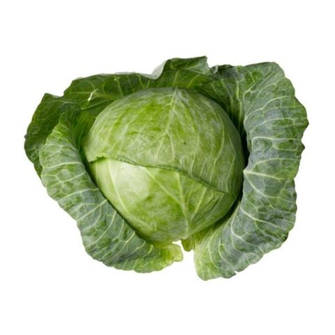 Local Cabbage – THE DAILY HARVEST